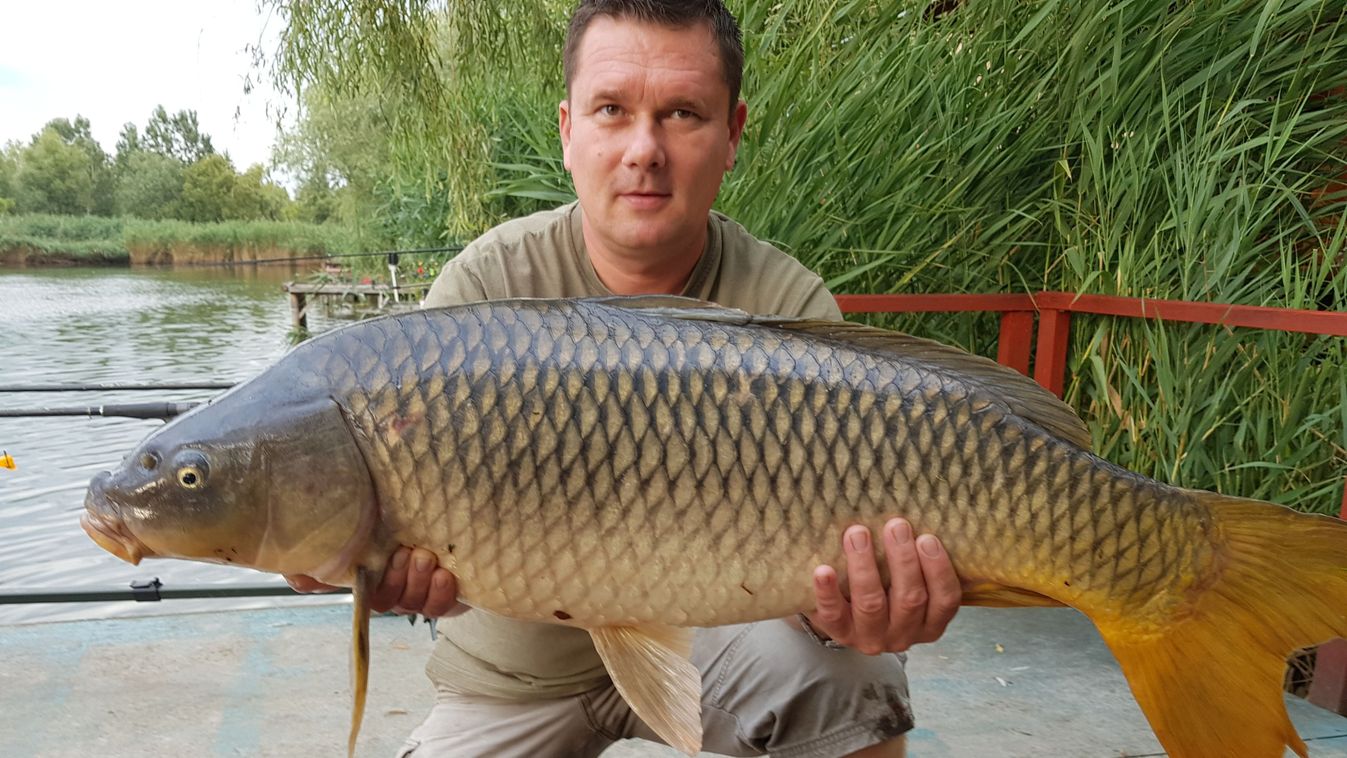 NOOL - Emberi segítséggel jutnak el a dunai halak az Ipoly Szécsény ...