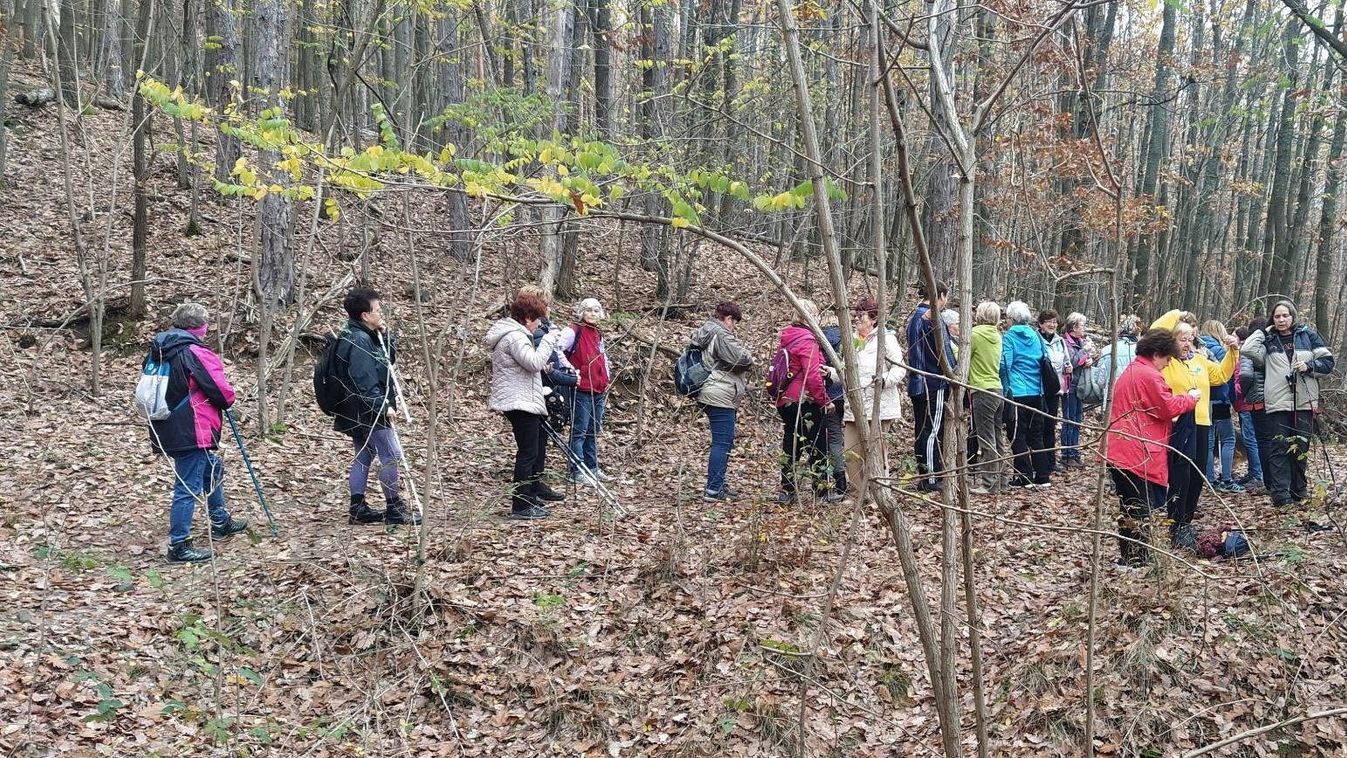 Szurdokpüspökibe kirándulnak a salgótarjáni ZÚTE-sok