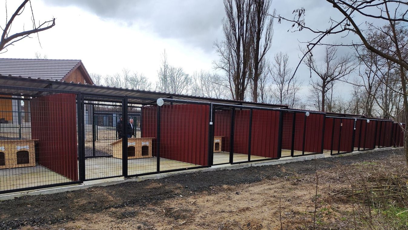 Megépült az új kutyamenhely Balassagyarmaton