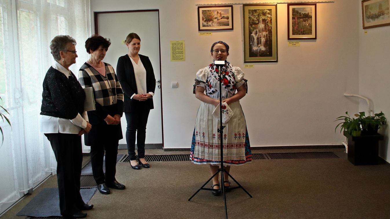 Apró öltésekkel készült alkotások díszítik a bátonyterenyei galéria falait