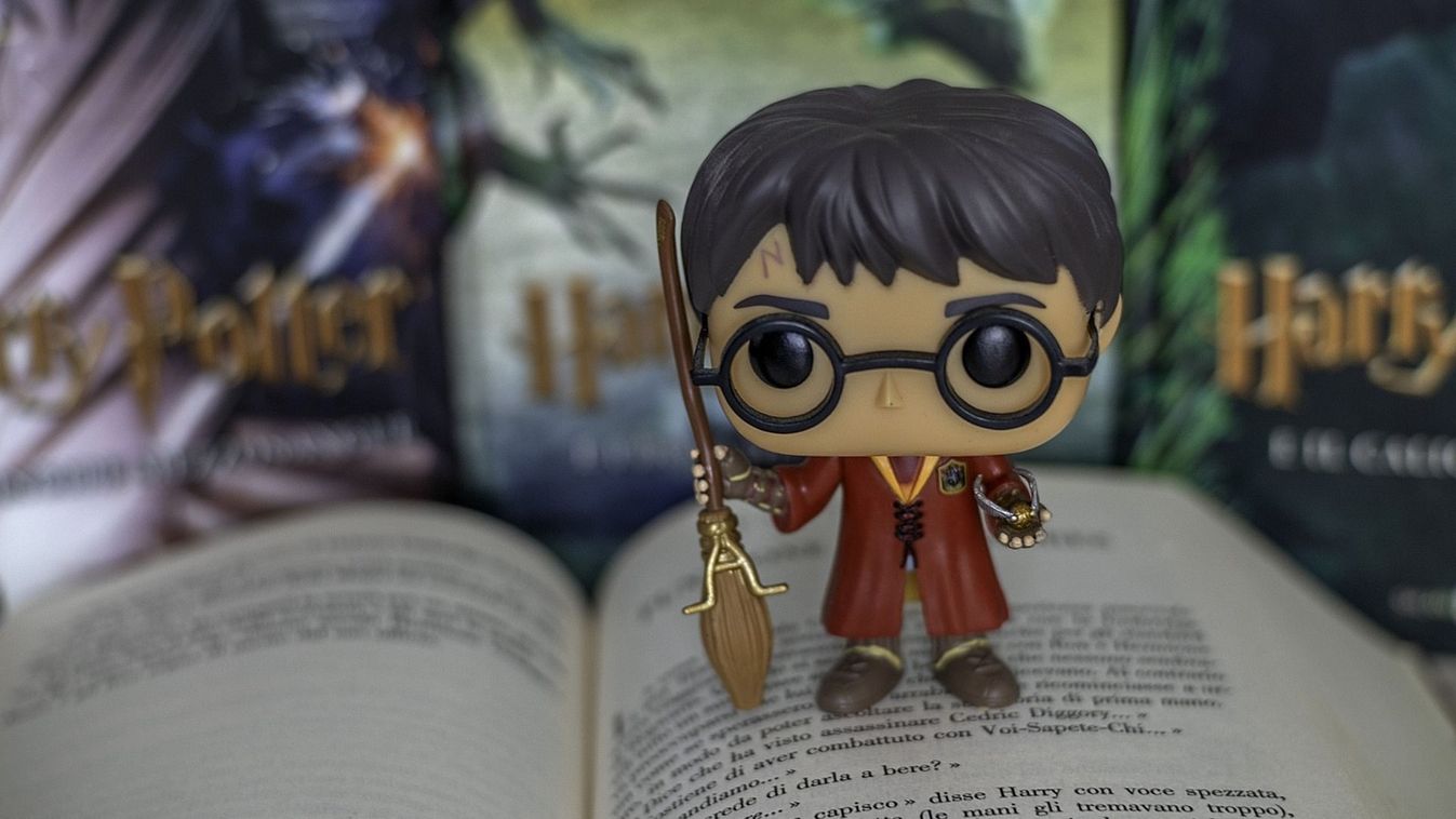 Harry Potter-nap