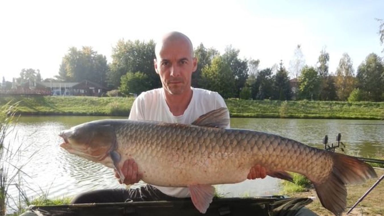Húsz kilogrammos amurral döntött tórekordot a horgász Maconkán