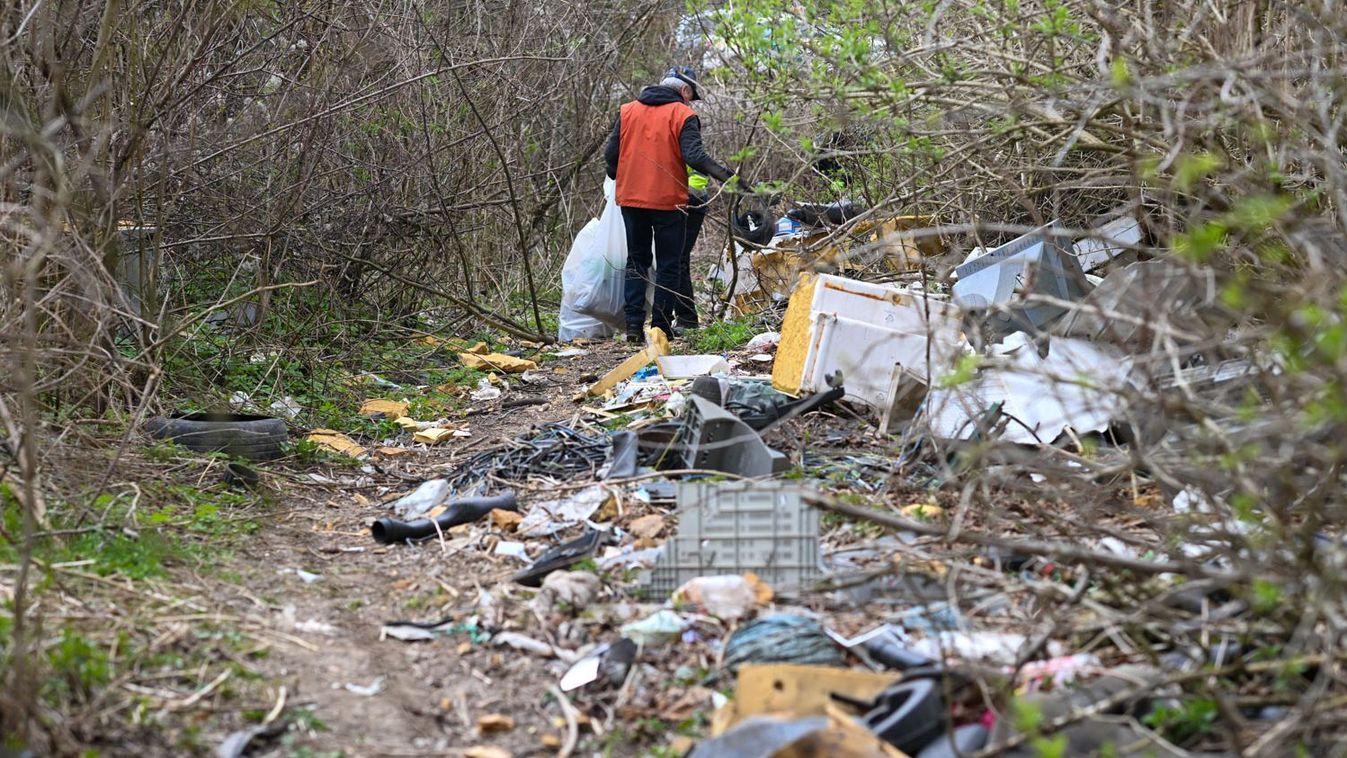 TeSzedd! - Nógrádban is összefogtak a tiszta környezetért!