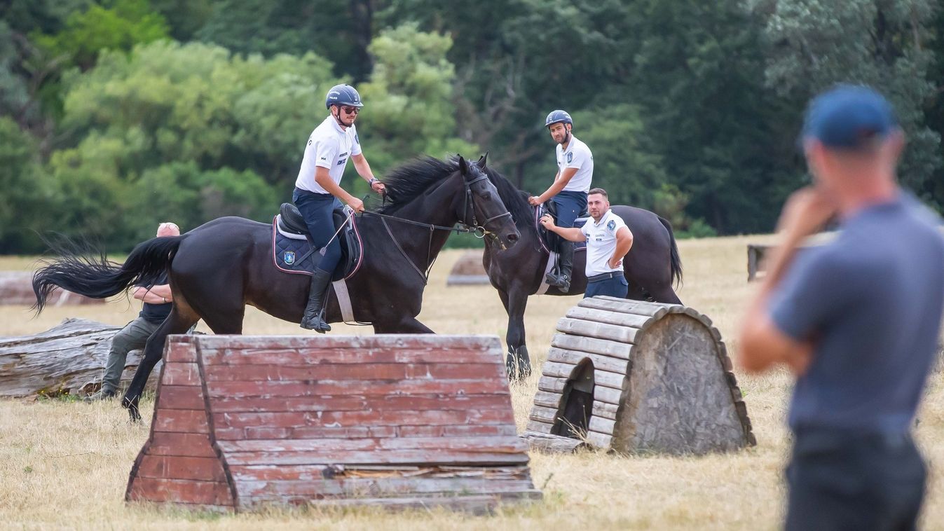 Fotókon, videón a nógrádi ménes, itt képzik a lovasrendőröket