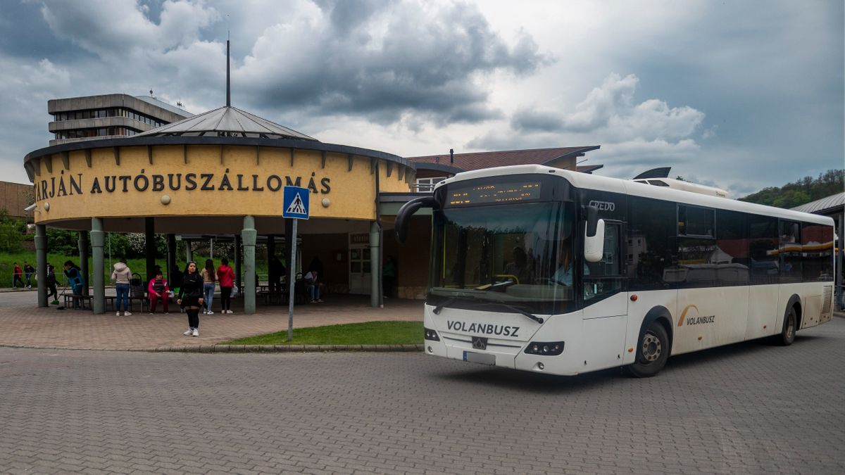MÁV: csúnyán rátámadtak a buszsofőrökre Nógrádban