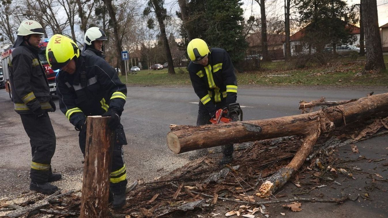 Autóra dőlt és forgalmat akadályozó fa adott munkát a nógrádi tűzoltóknak