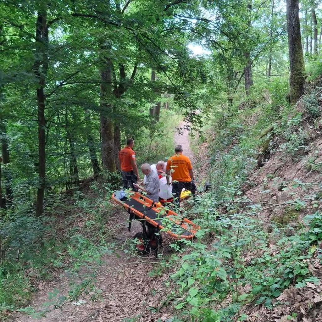 Borzasztó: ezért állt meg mentőautó Mátrafüred közelében