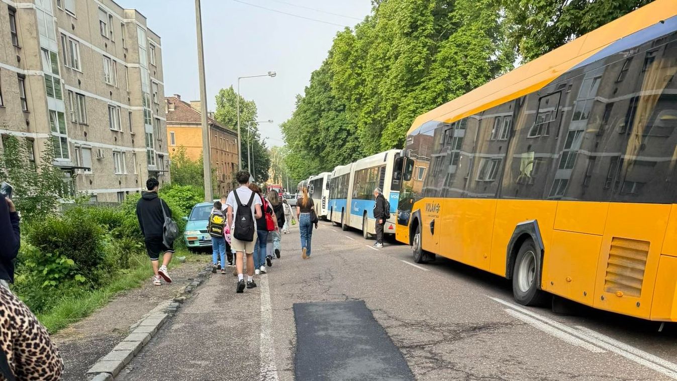 Vihar csapott le Salgótarjánra, kidőlt fa bénította meg a bevezető utat